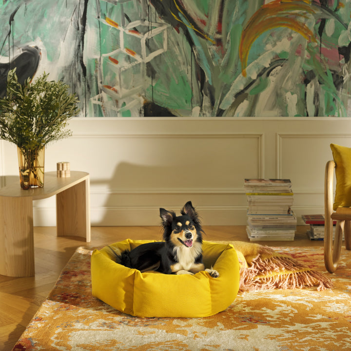 Kanto - Elevate your pet's comfort